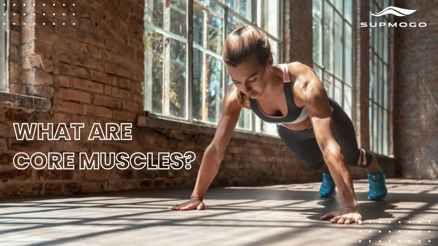 What Are Core Muscles? Everything You Need to Know – SUPMOGO ...